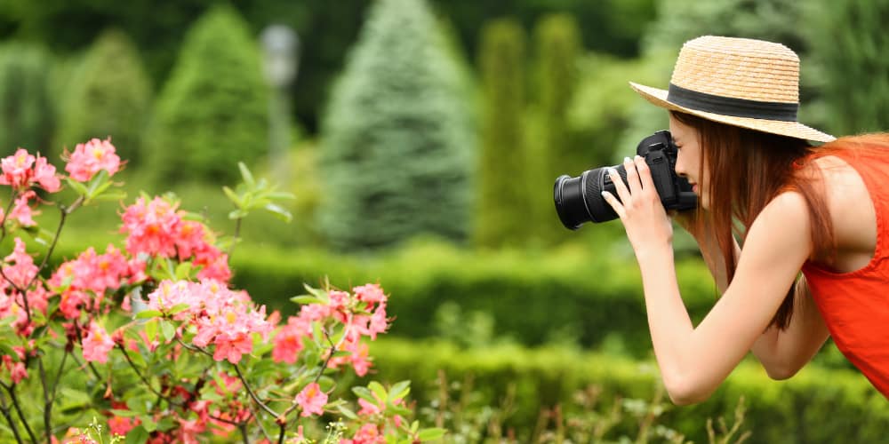 Effective Plant Nursery Advertising Ideas | Dig Marketing Effective ...